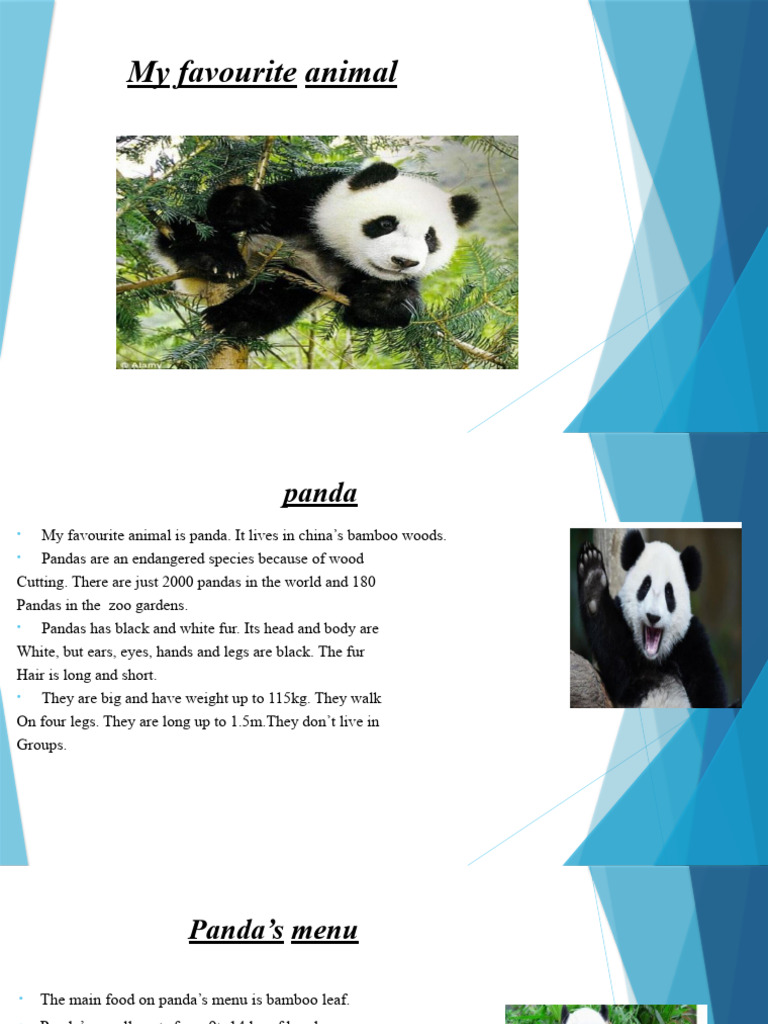 My Favourite Animal | PDF
