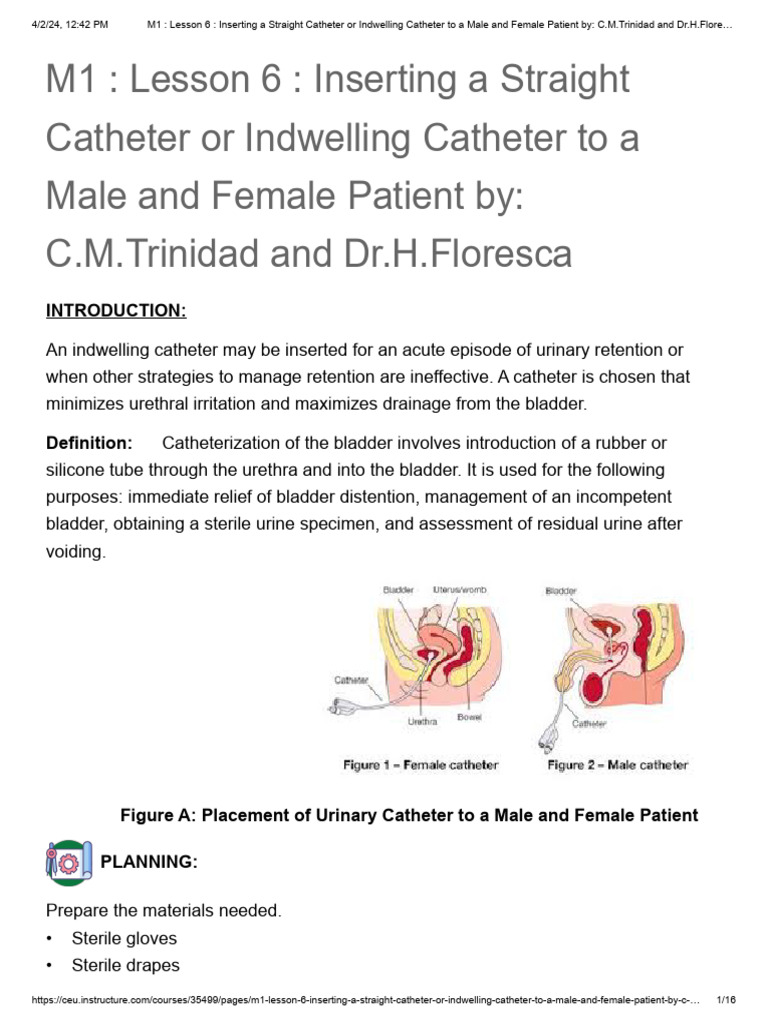 Catheter-CHECKLIST | Download Free PDF | Catheter | Urology