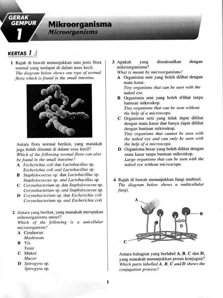 F5 Science C1-3 | PDF | Agar | Bacteria