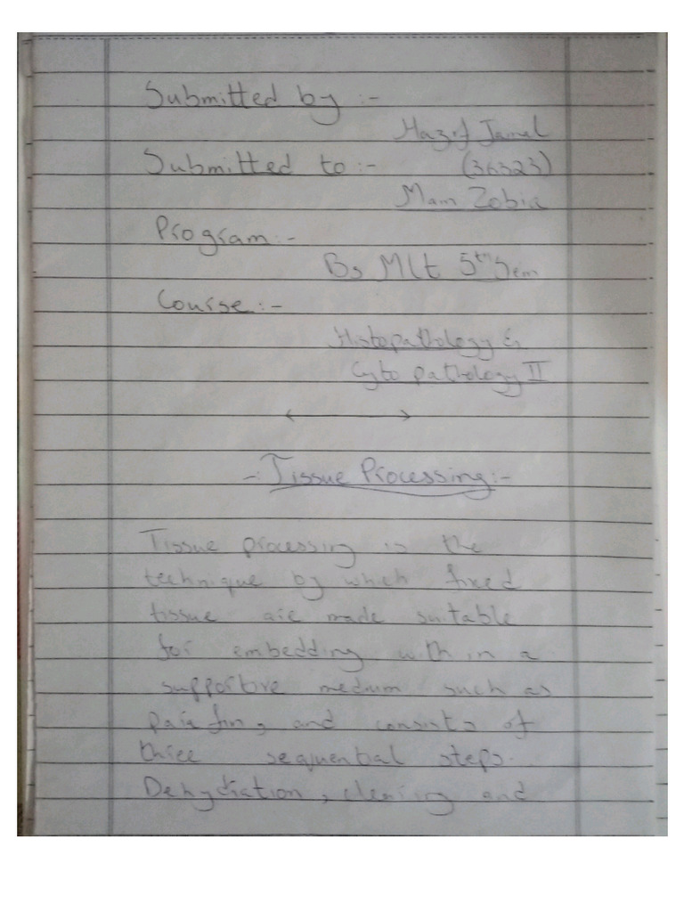 Histo Assign 1 | PDF