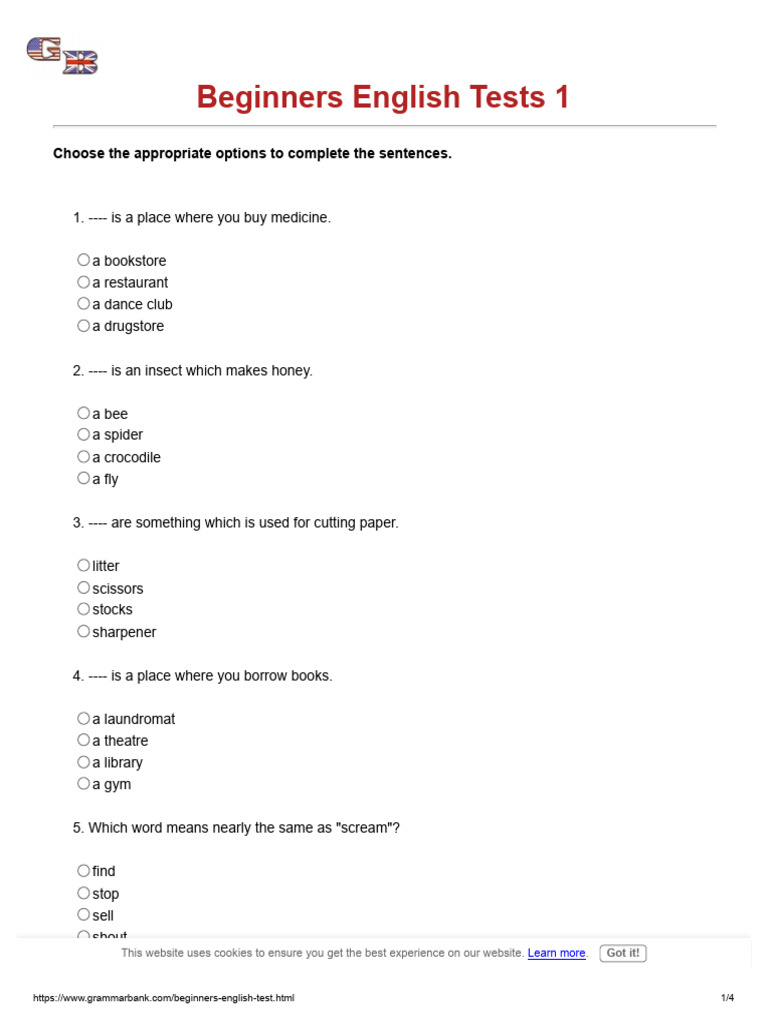 Beginners English Test 1 - KET, PET | PDF | Linguistic Morphology ...