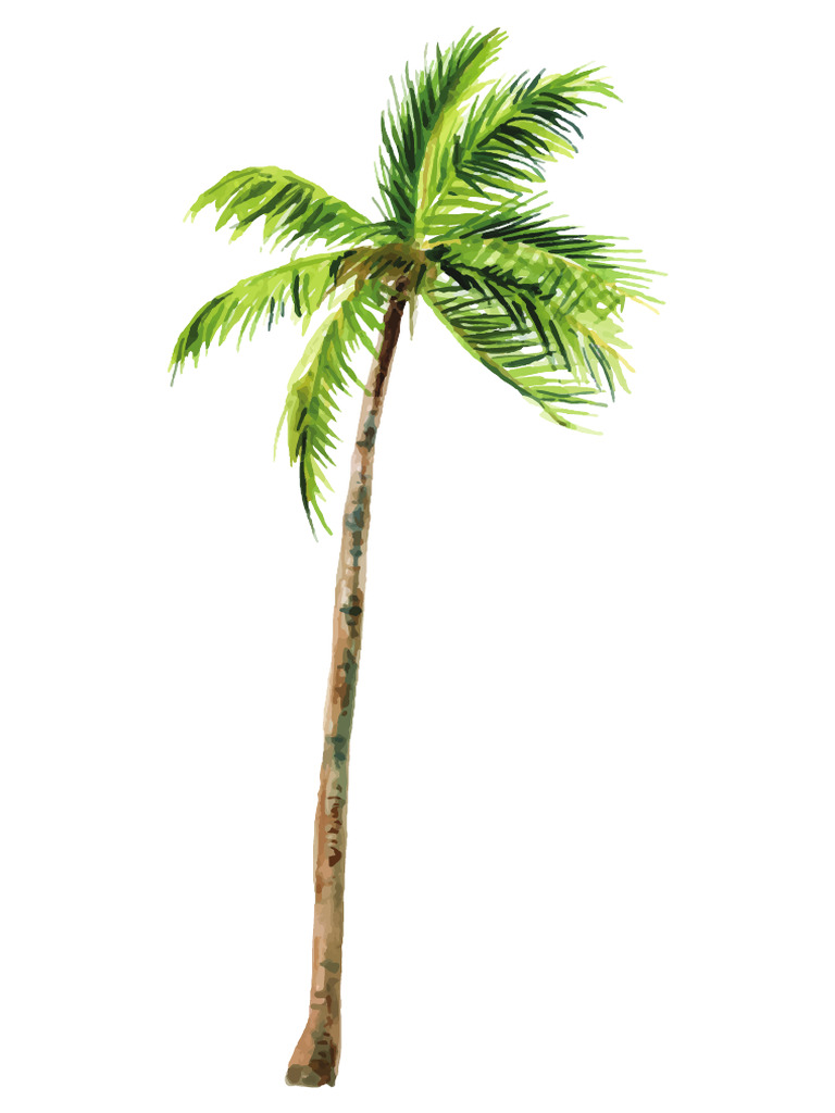 Palm Tree | PDF