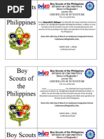 BSP Certificate | PDF | Scouting | Philippines
