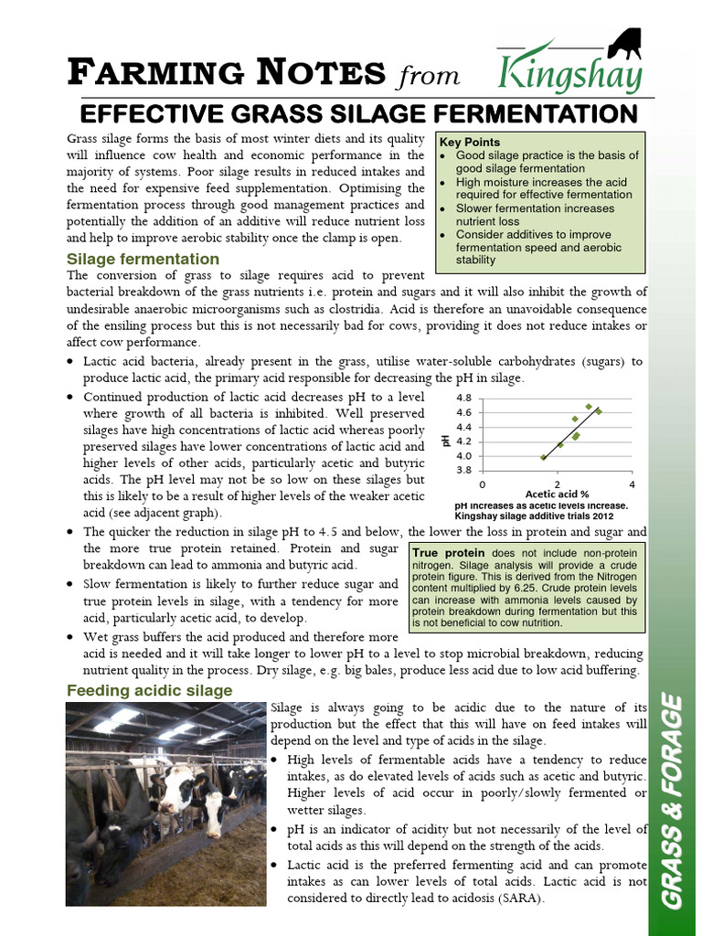 Effective Grass Silage Fermentation | PDF | Fermentation | Acid