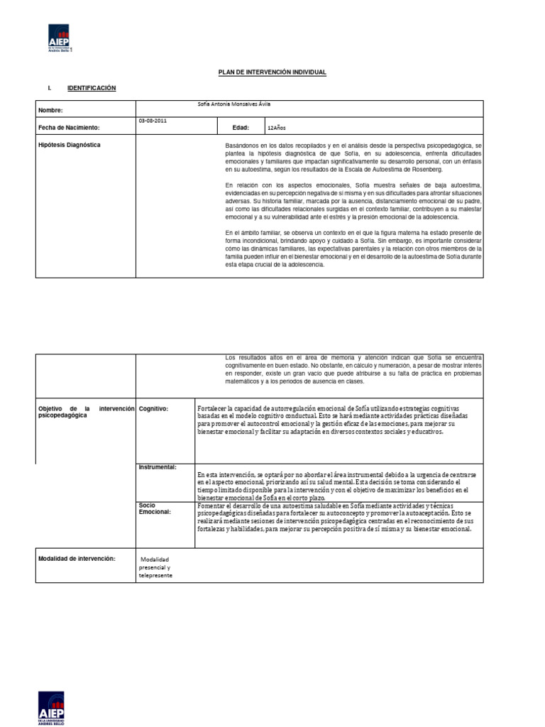 Modelo Plan de Intervención Individual | PDF | Las emociones | Autoestima