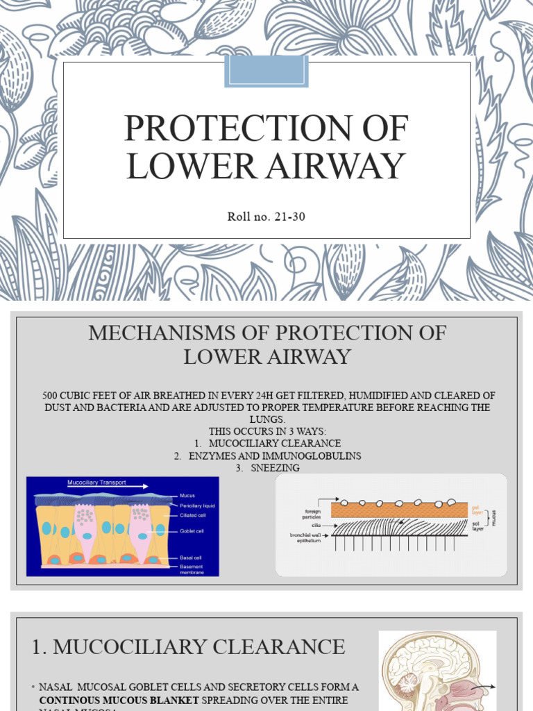 Lower Airway Protection Mechanisms | PDF