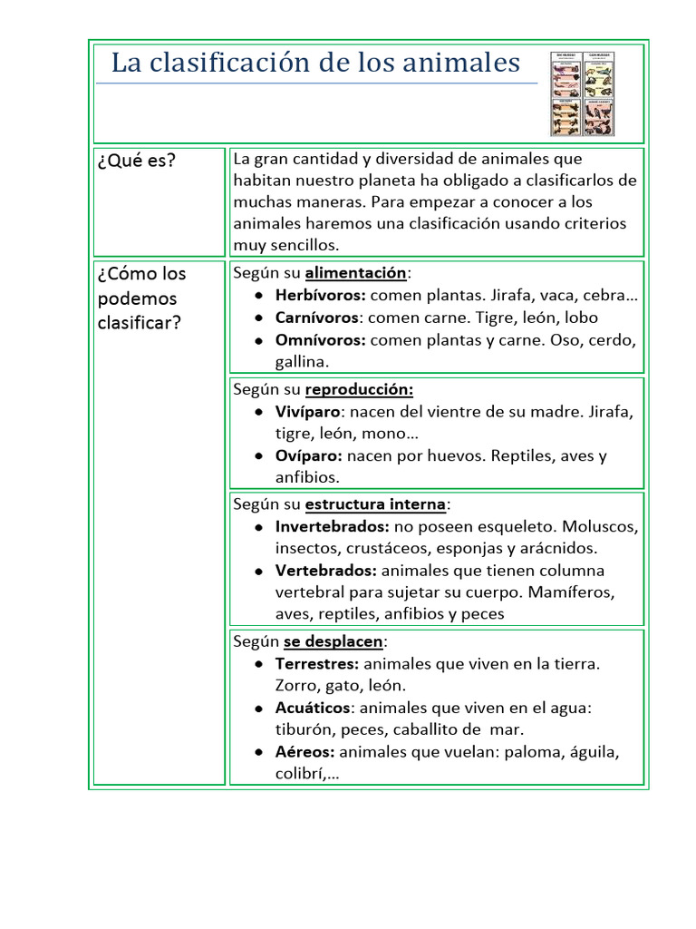 Clasificación Básica de Animales | PDF | Vertebrados | Mamíferos