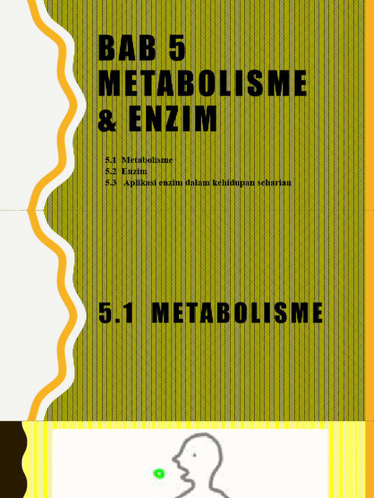 Presentation Bab 5 Bio | PDF