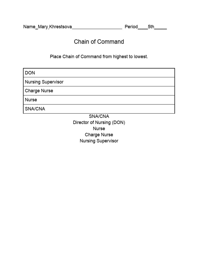 Nursing Chain of Command Guide | PDF