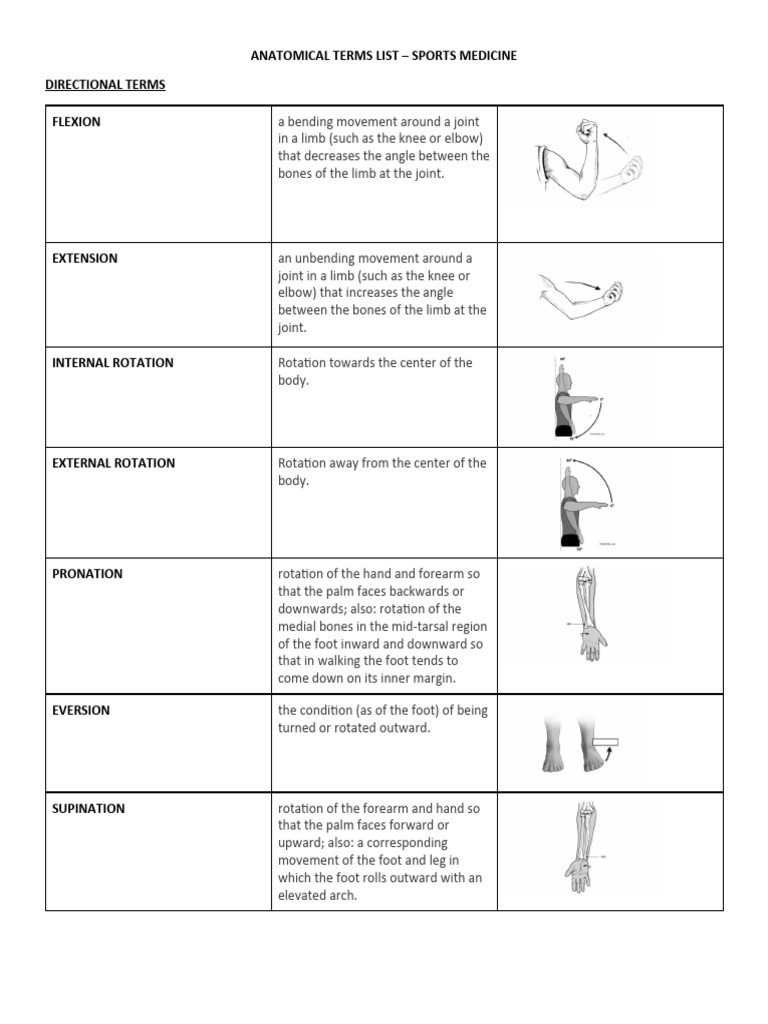 Anatomical Terms List - SM | PDF | Anatomical Terms Of Motion ...
