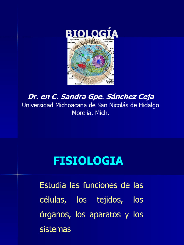 La Célula | PDF | Biología Celular) | Citoplasma