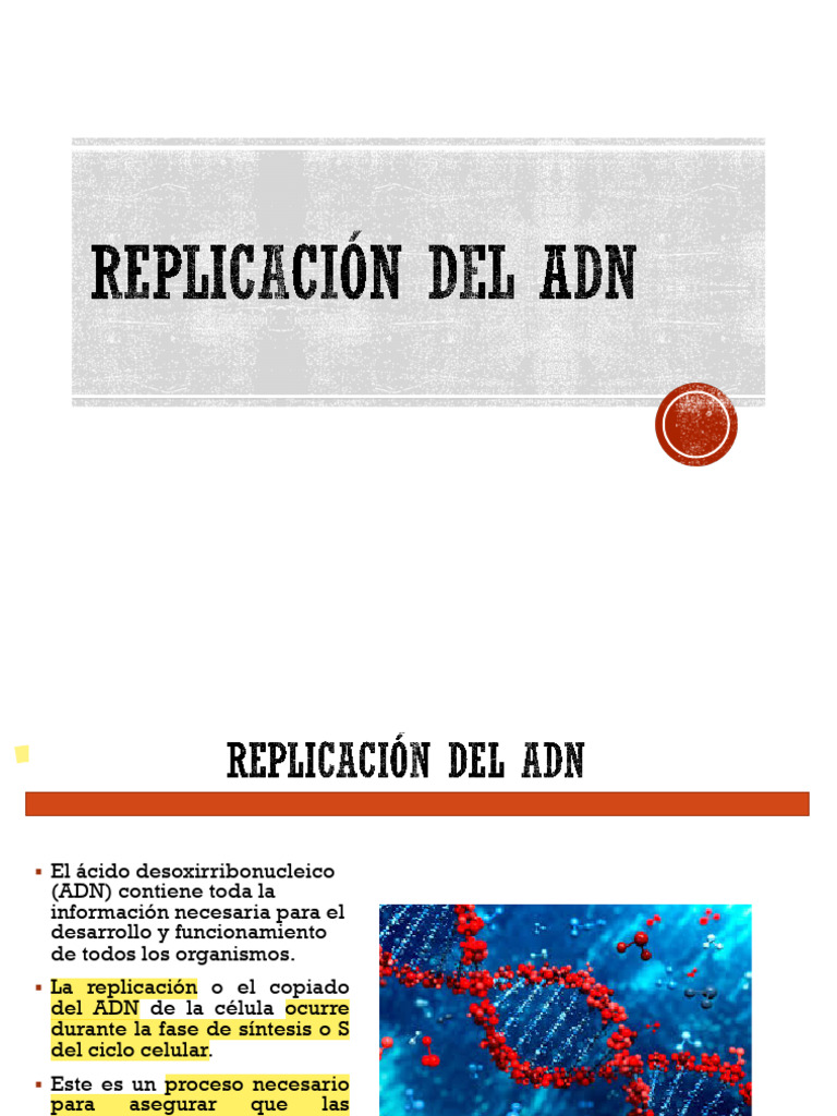 5 Replicación de ADN | PDF | Replicación De Adn | Adn