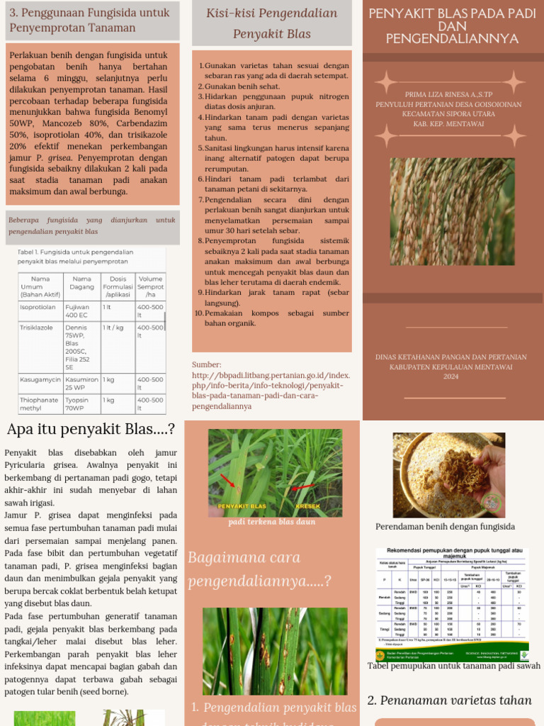 Folder Penyakit Blas Pada Tanaman Padi Sawah | PDF
