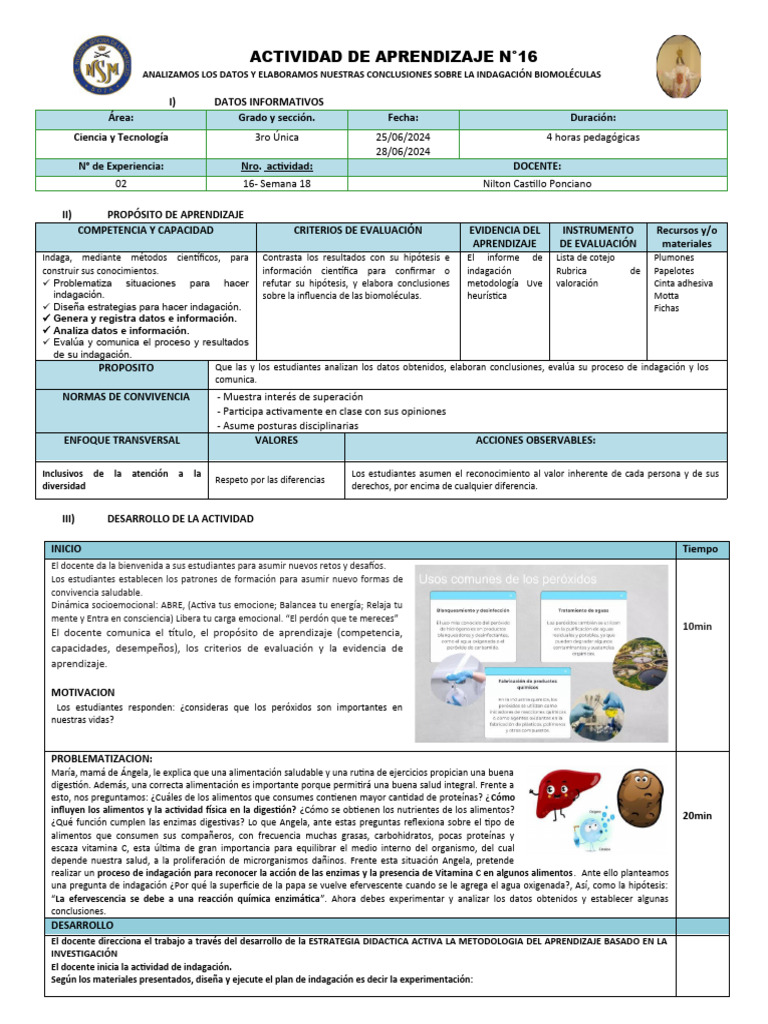 SESION 16 - CyT - 3° INDAGA - Biomoleculas | PDF | Peróxido de hidrógeno | Enzima