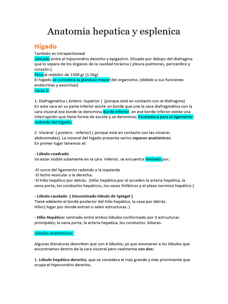 Anatomia Hepatica y Esplenica | PDF | Hígado | Anatomía