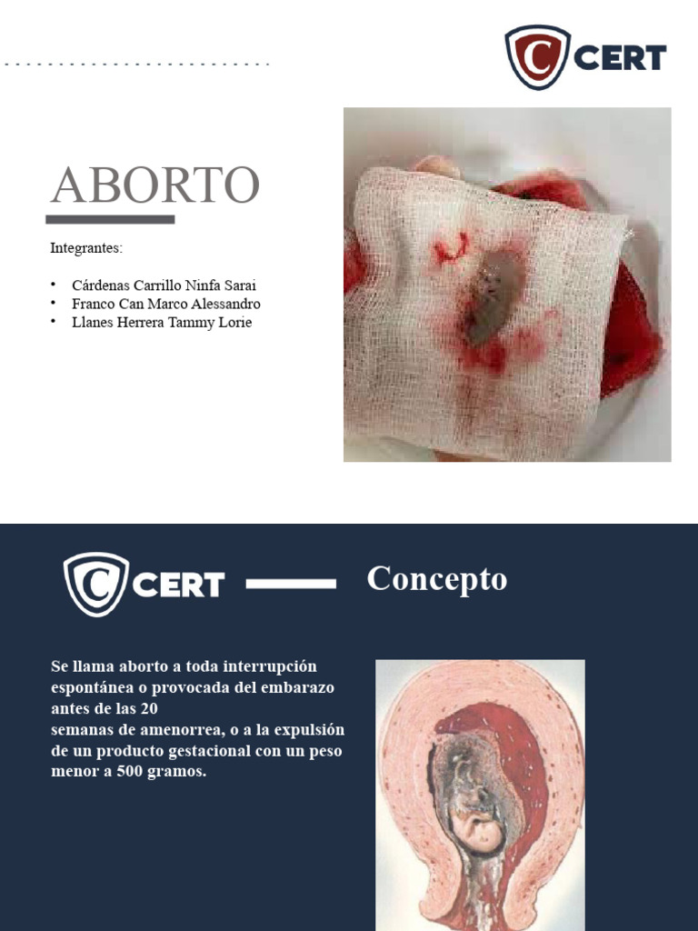 Aborto Equipo7 Materno | PDF | Aborto | El embarazo