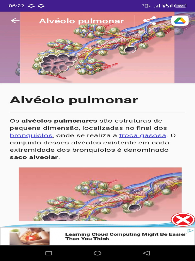 PDF Phoenix 20240703 062451 | PDF