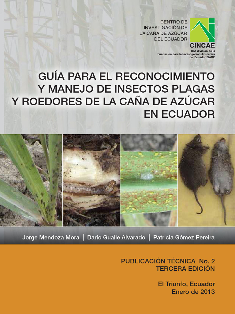 Plagas y roedores en caña de azúcar | PDF | Crisálida | Lepidópteros