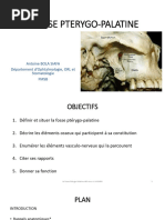 Anatomie du Labyrinthe Ethmoïdal | PDF | Système squelettique | Tête et ...
