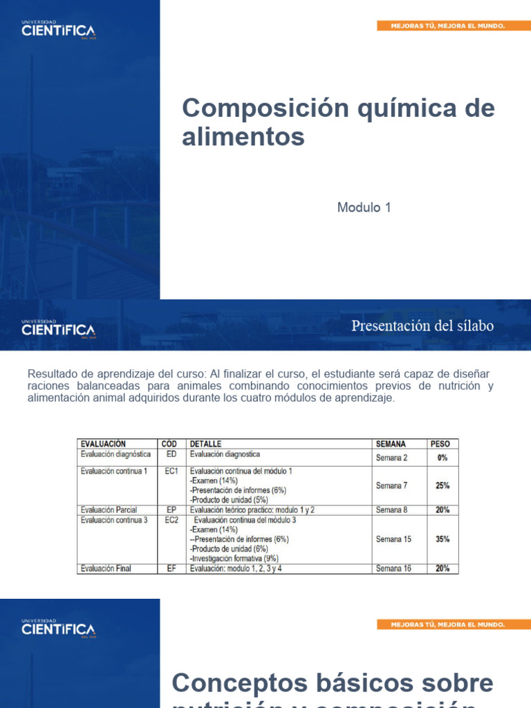 Clase 1 Introducción Nutrición y Analisis Alimentos 2023 2 | PDF ...