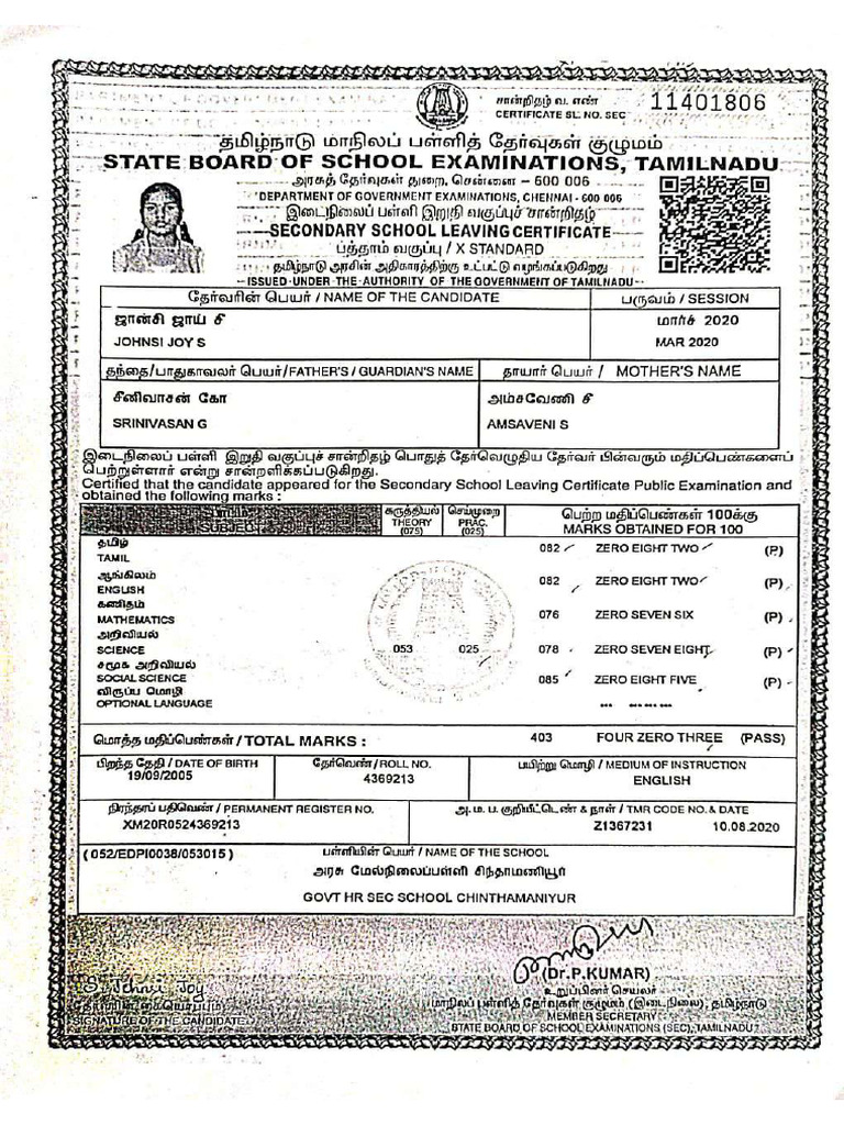 10 Th Mark Sheet | PDF
