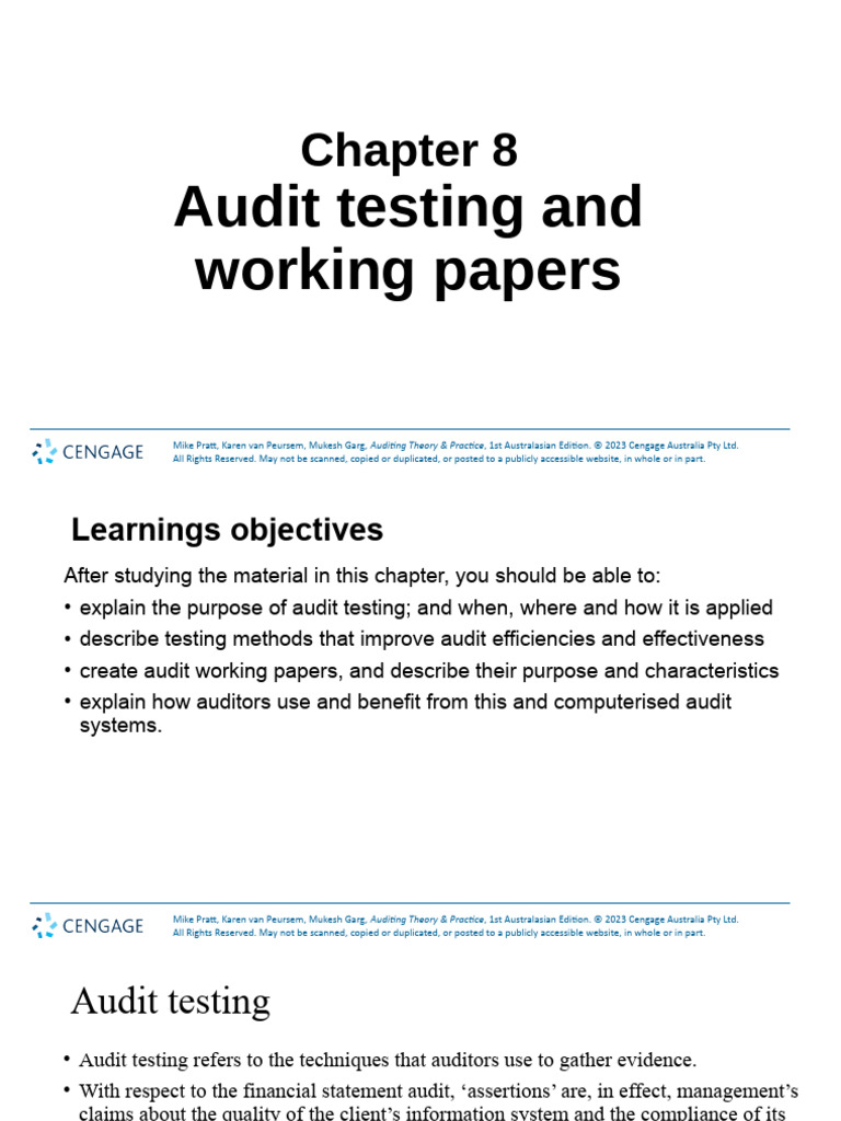 Audit Testing and Working Papers Guide | PDF | Audit | Artificial ...