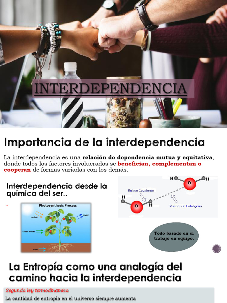 Interdependencia - Perú | PDF | Entropía | Liderazgo