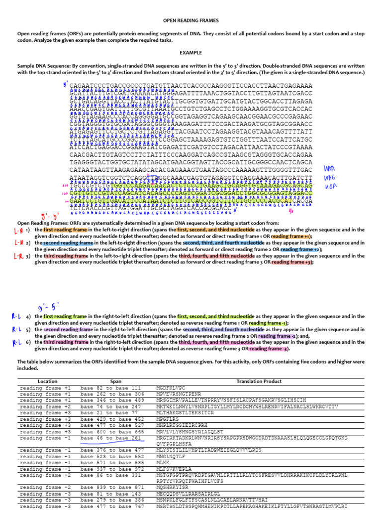 Understanding Open Reading Frames in DNA | PDF | Open Reading Frame ...