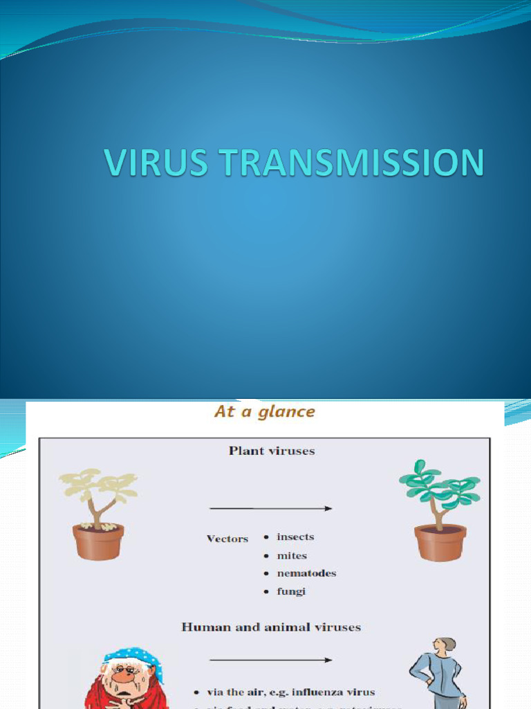 Lecture 3 Transmission of Virus | PDF