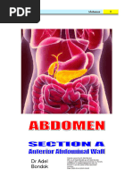 QuantaFlo™ 7 Facts About Peripheral Arterial Disease PAD | PDF ...