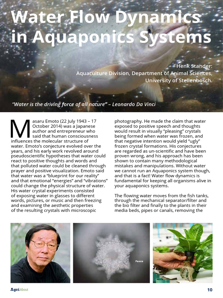Water Flow Dynamics in Aquaponics | PDF | Aquaponics | Water
