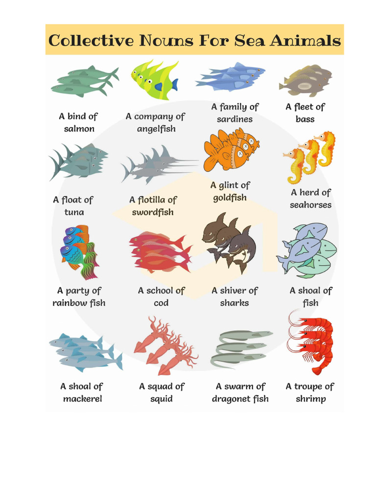 Collective nouns- 2 | PDF