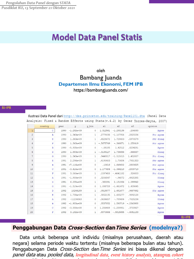 Model Data Panel Statis | PDF