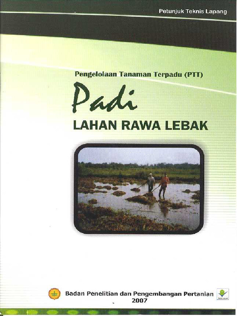 Dokumen - Tips Padi Di Lahan Rawa Lebak | PDF