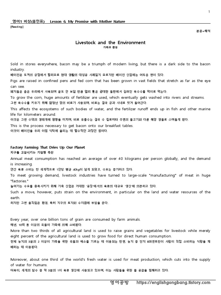E1 VS L6 해석 | PDF