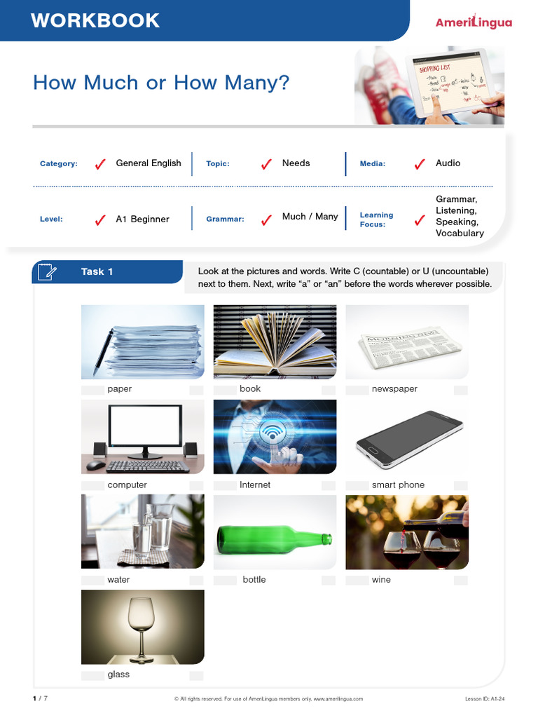 A1-24 Workbook How Much or How Many | PDF | Noun | Linguistics