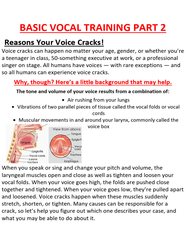 Basic Vocal Training Part 2 | PDF | Human Voice | Larynx