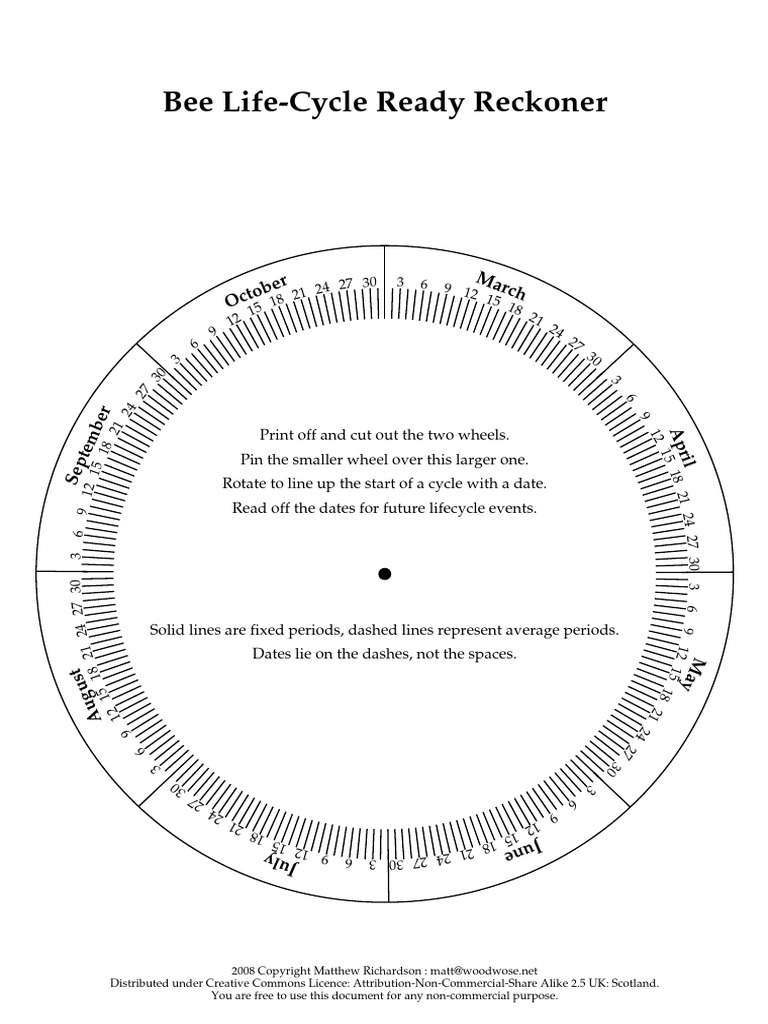 Lifecycle Wheel v4 | PDF | Insects | Bees