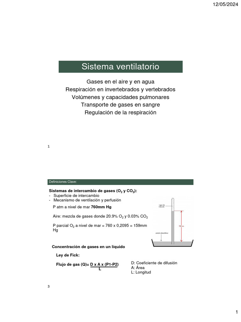 T16 Respiratorio - NA - PPT - Modo de Compatibilidad | PDF | Pulmón | Difusión