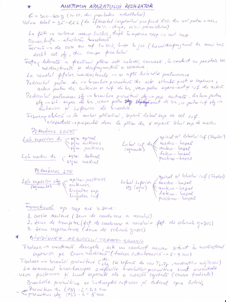 01r.anatomia Aparatului Respirator | PDF