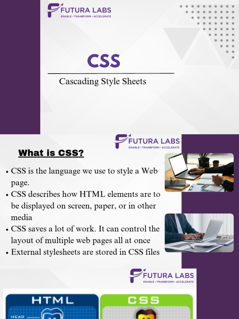 Cascading Style Sheets | PDF | Html | Text