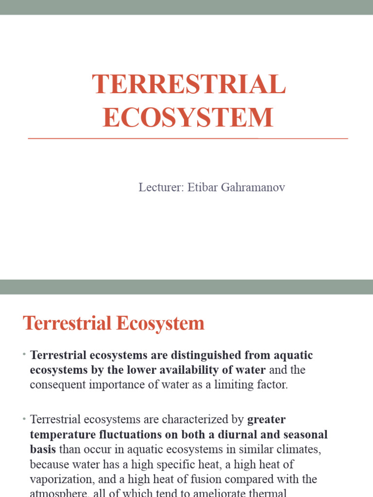 Overview of Terrestrial Ecosystems | PDF | Deforestation | Grassland