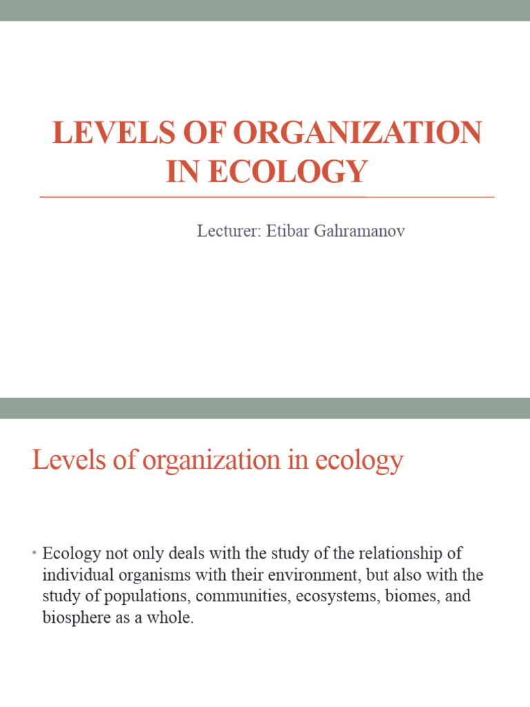Lesson 5 Levels of Organizations | PDF | Primary Production | Ecosystem