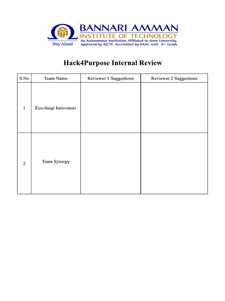 Internal Review Hack4purpose (1) | PDF