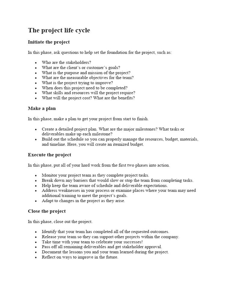 The Project Life Cycle | PDF