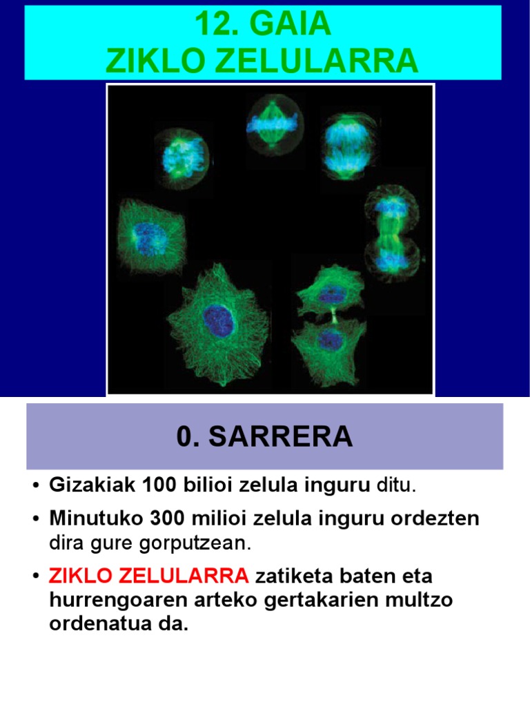 12.ZIKLO ZELULARRA - Anaya | PDF