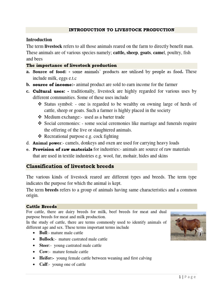 Livestock Production Agri 1 | PDF | Cattle | Goat