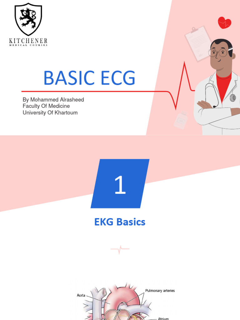 BASIC ECG | Download Free PDF | Electrocardiography | Circulatory System
