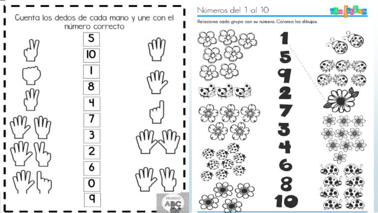Actividad de Matematica | PDF