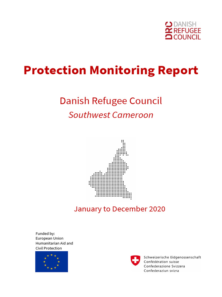 Protection Monitoring Report Southwest Cameroon | PDF | Internally ...